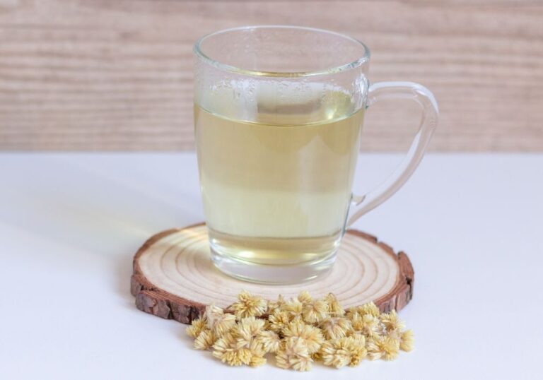 Chá de Macela serve para quê? - Chá e Sabedoria | Plantas e ervas ...