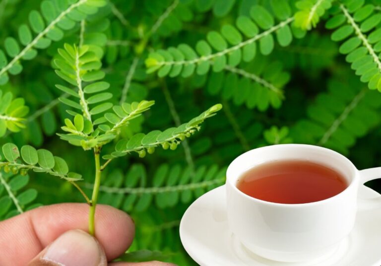 Chá de Quebra-Pedra serve para quê? - Chá e Sabedoria | Plantas e ervas ...